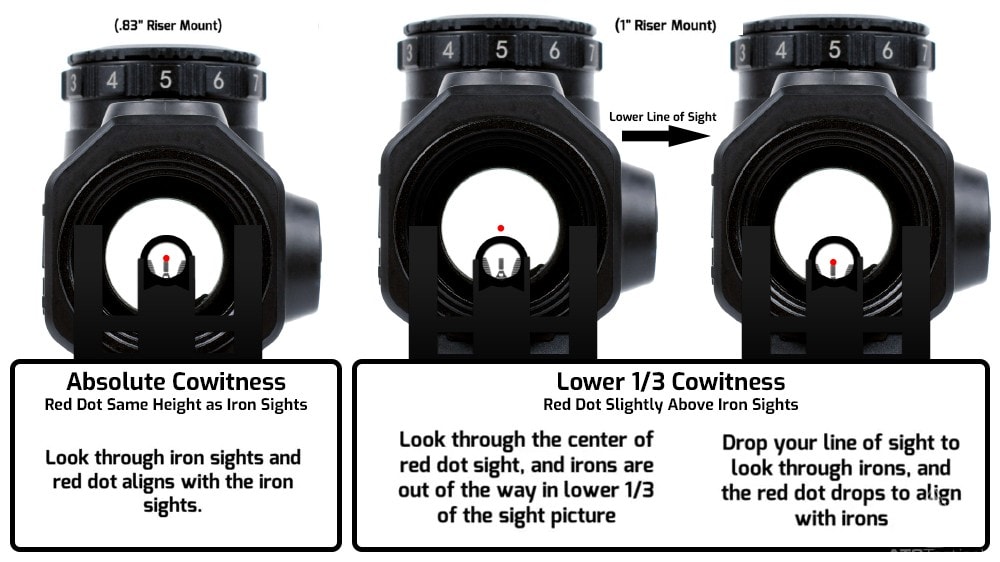 Absolute vs Lower 1/3 Co-witness Sights